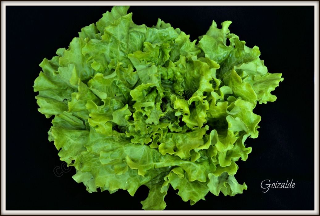 COMO CONSERVAR LA LECHUGA MAS TIEMPO | Cocinando con Goizalde